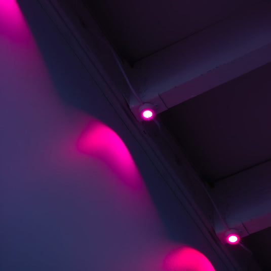 LIFX Outdoor Permanent Lights 50ft Kit (White)