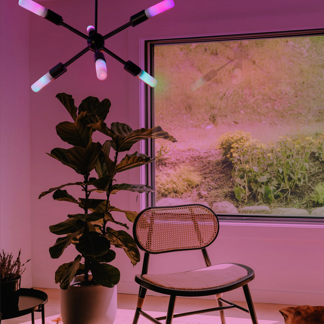 Wi-Fi enabled LED smart lights - LIFX.com