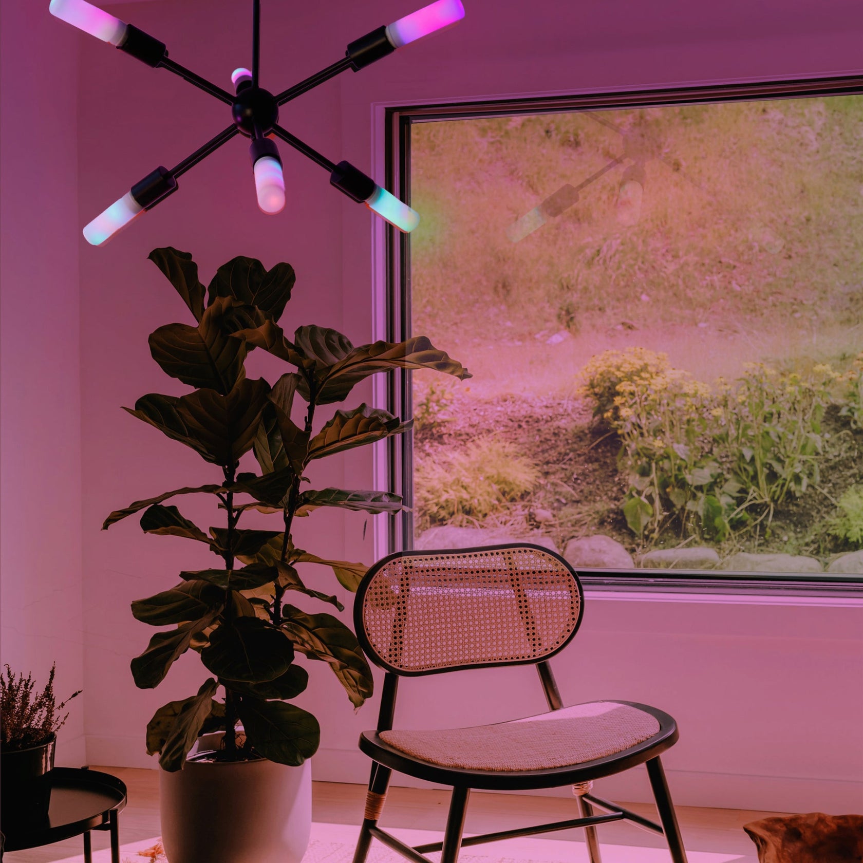 Polychrome Tube T10 E26 Smart Light – LIFX